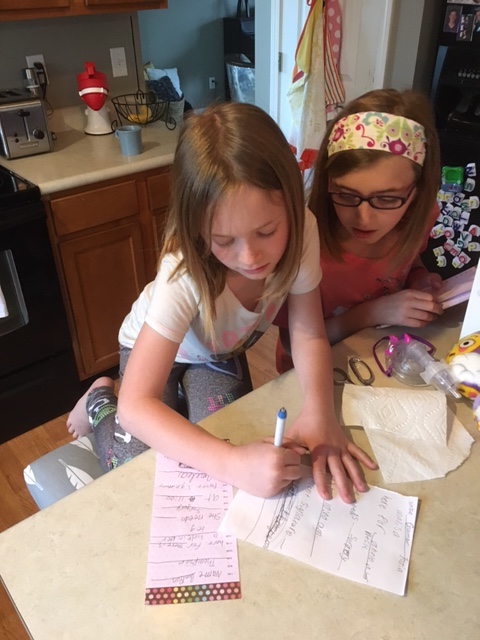 The Grand Opening of The Stuffed Animal Outpatient Surgery Center ...