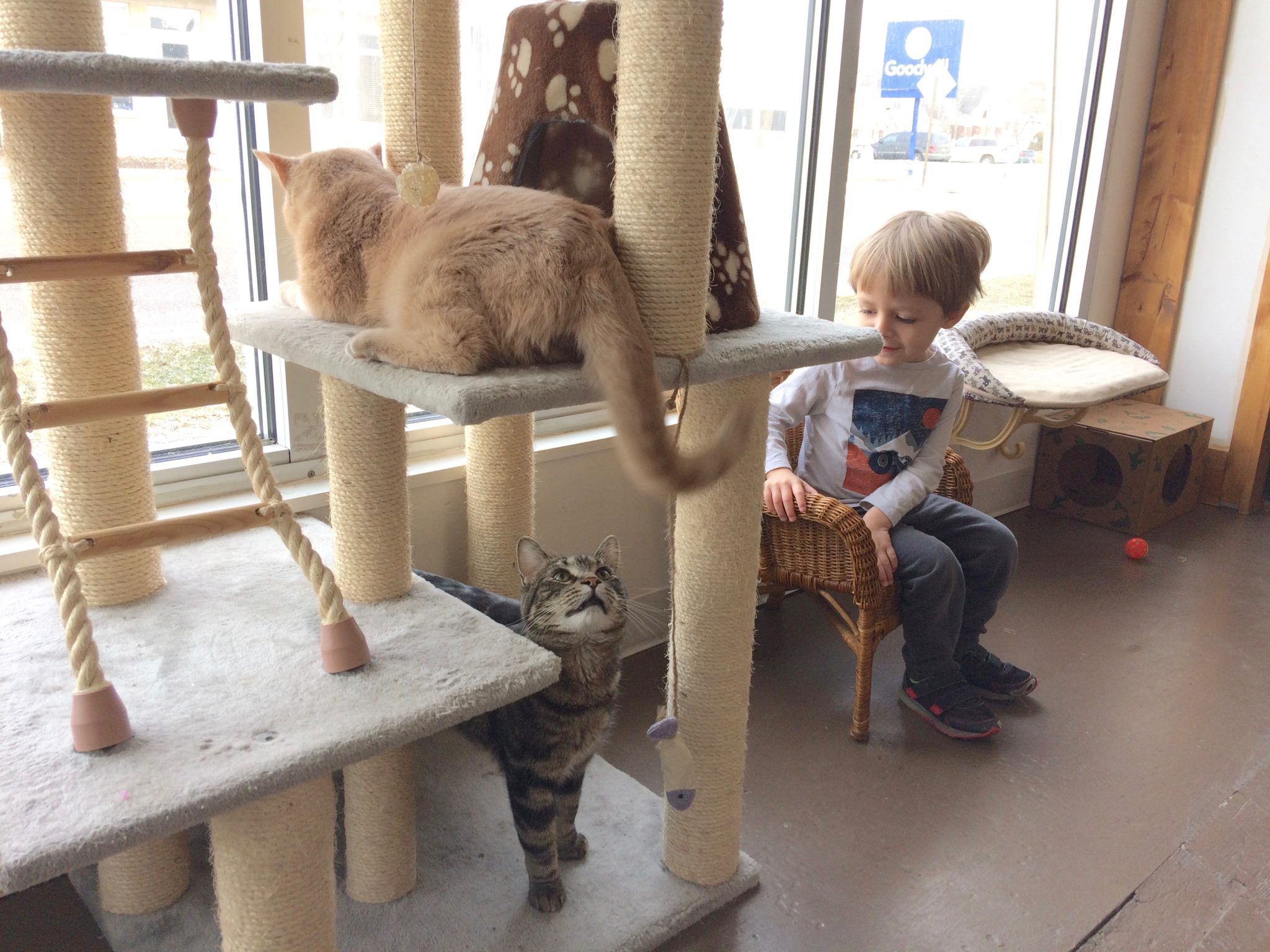 12 Unique Animal Encounters in Central Indiana - Indy's Child