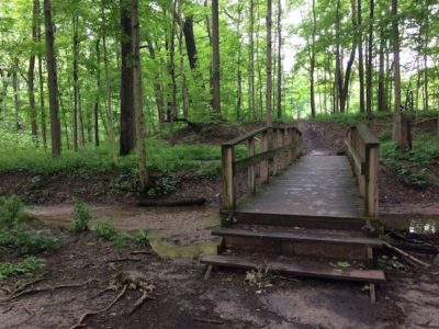 Best Places to Go Hiking with Kids in Indianapolis (2026)