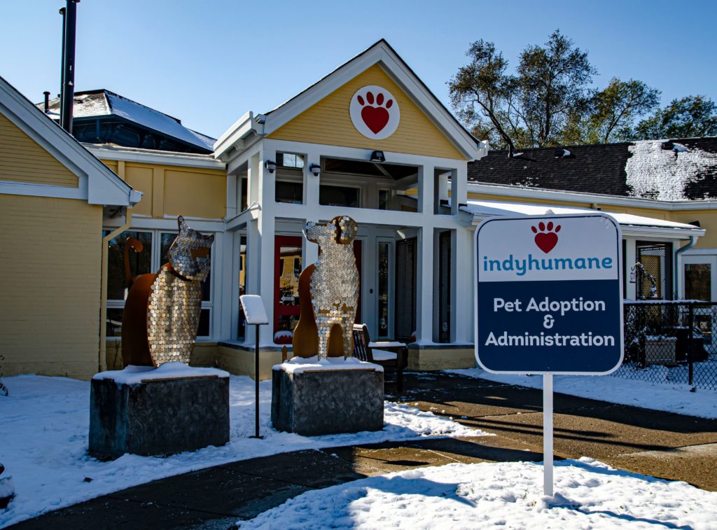 IndyHumane Deemed Essential, Still Open for Adoption and Fostering