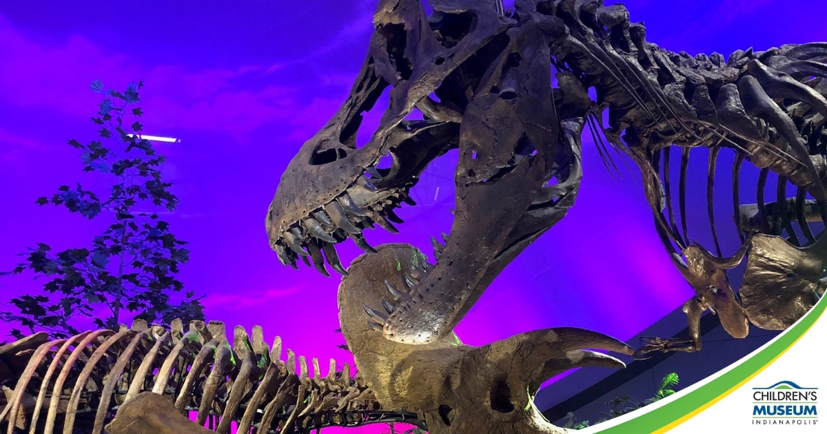 Chat All Things Dinos with The Children's Museum on Facebook Live