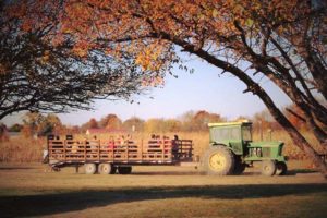 The Ultimate Fall Fun in Indianapolis Bucket List