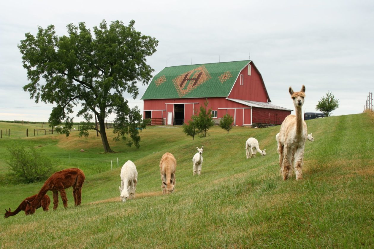 12 Unique Animal Encounters in Central Indiana - Indy's Child