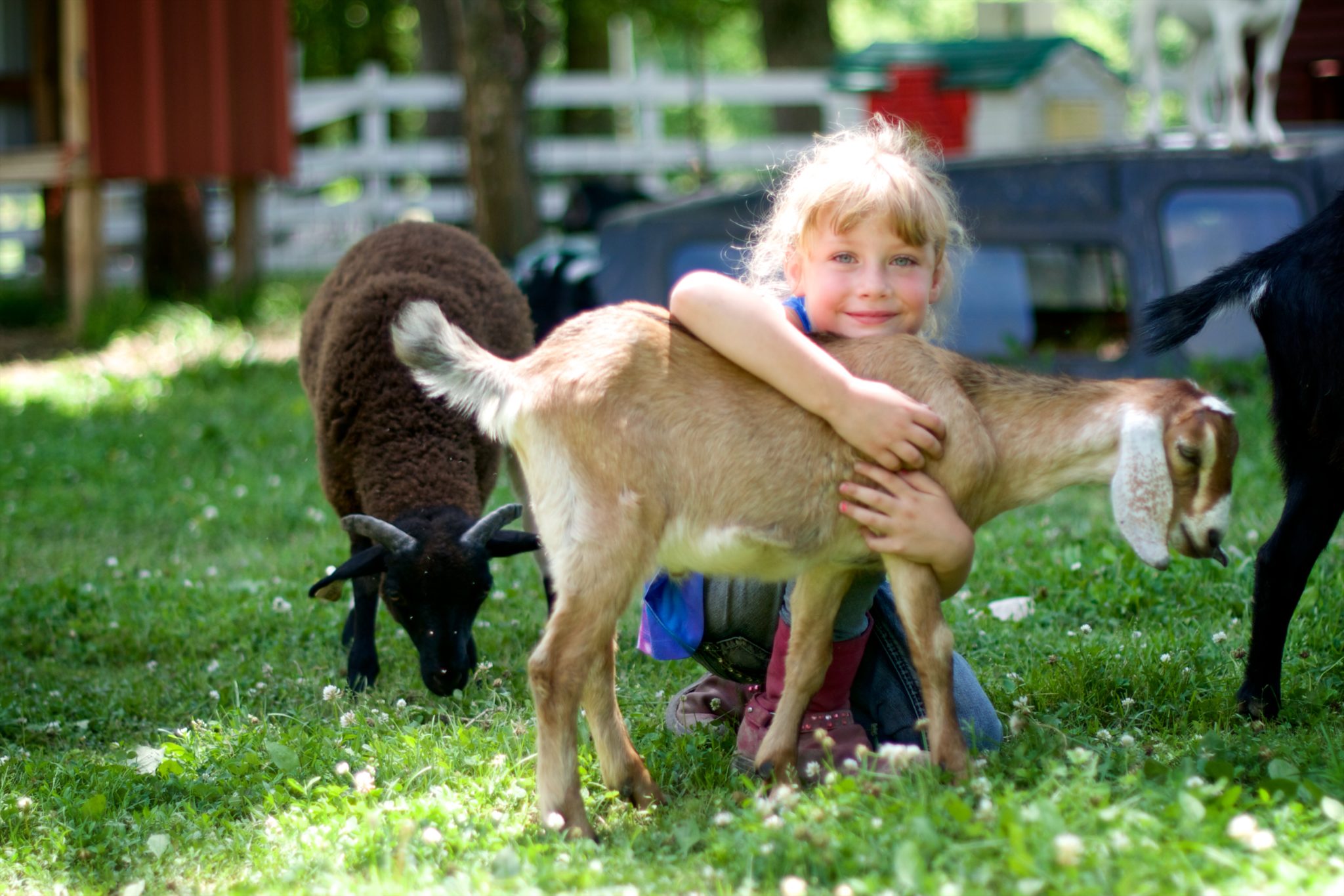 Natural Valley Ranch in Brownsburg - Indy's Child Magazine