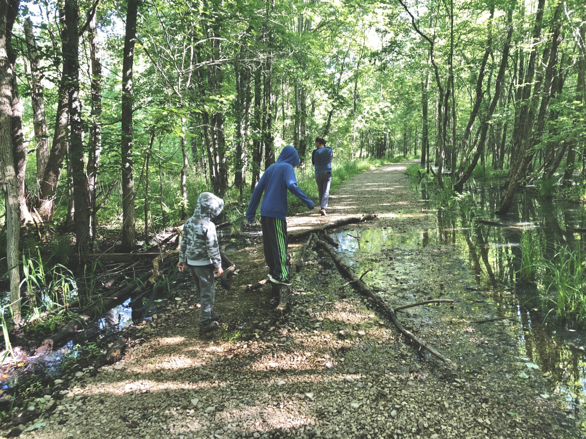 19 Indiana Day Trips Perfect for Springtime - Indy's Child