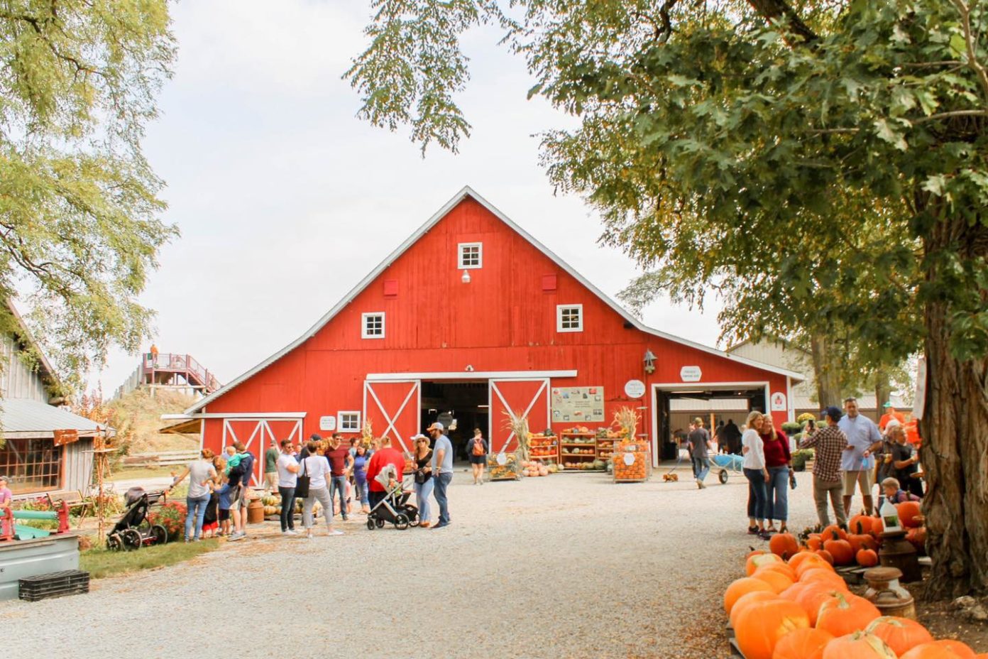 9 Farm Festivals in Indianapolis You Don't Want to Miss this Fall