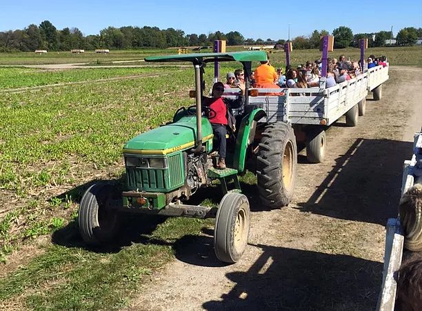 Fall Harvest Festival at Waterman’s Family Farm - Indy's Child Magazine