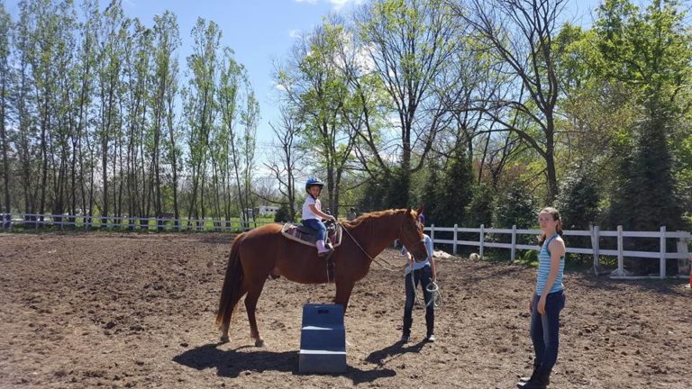 Places to go Horseback Riding around Indianapolis - Indy's Child