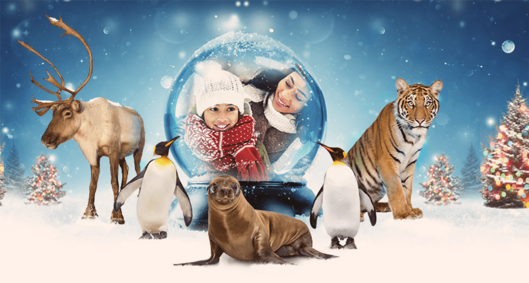 Christmas at the Zoo - Indy's Child Magazine