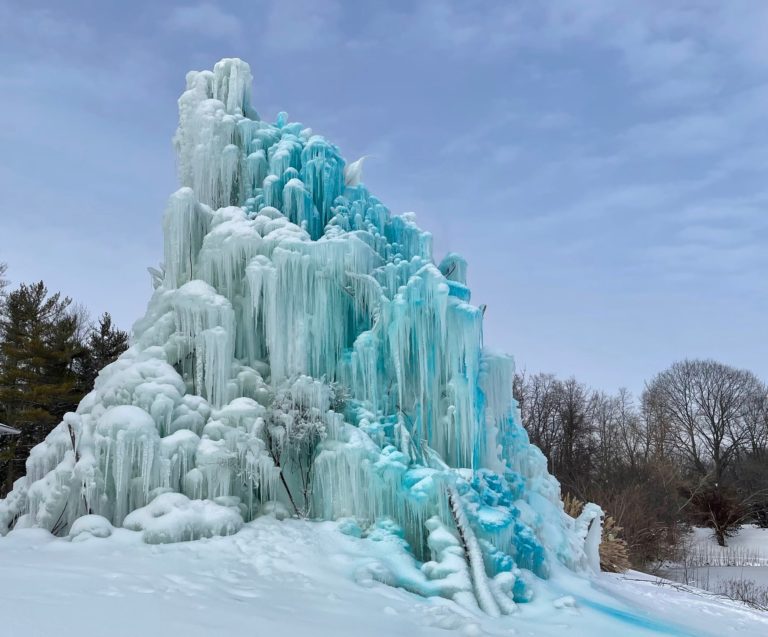 Worth-the-Visit: Veal’s Ice Tree - Indy's Child