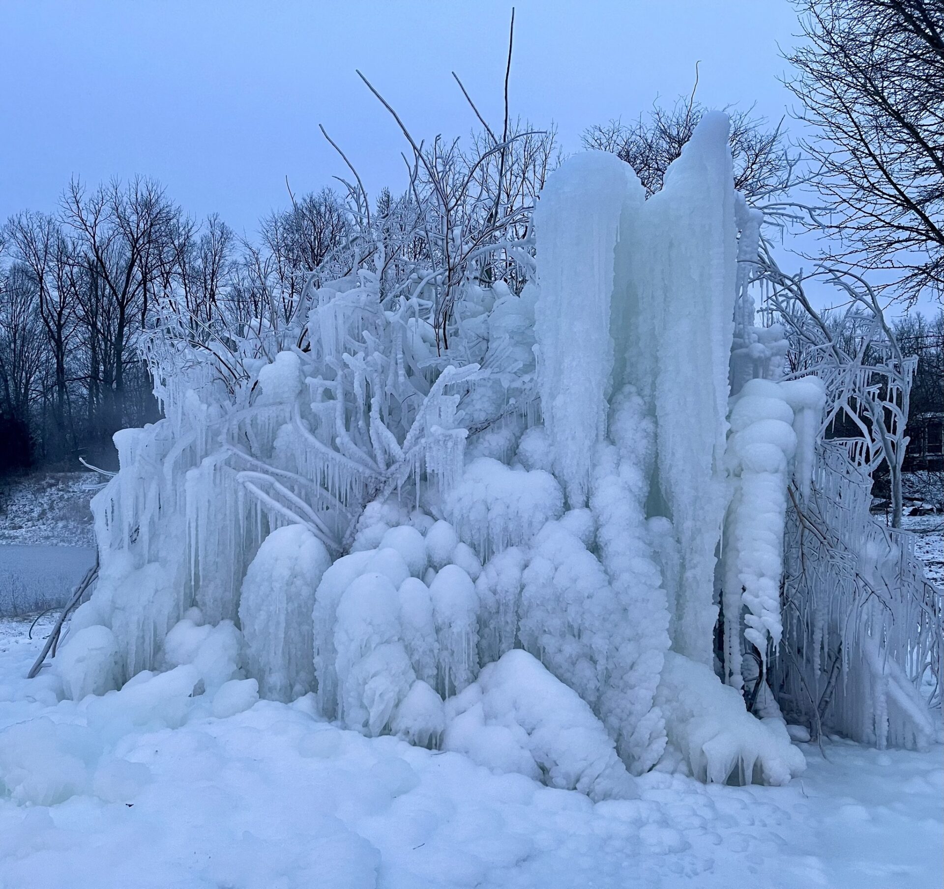 Worth-the-Visit: Veal’s Ice Tree - Indy's Child