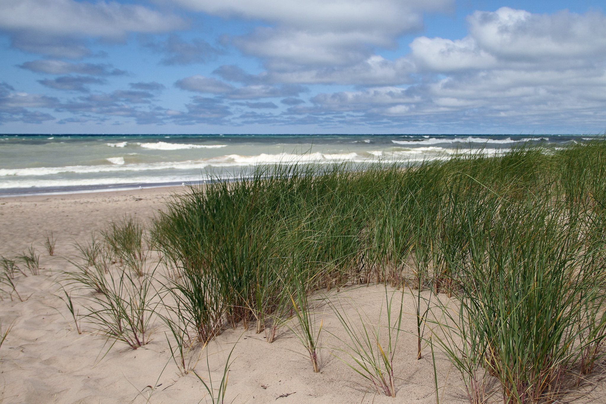 6 Best National Parks in the Midwest to Visit with your Kids