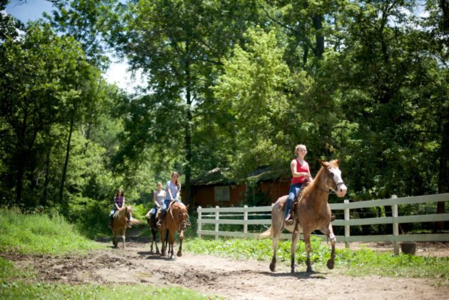 19 Best Spring Day Trips in Indiana for Families