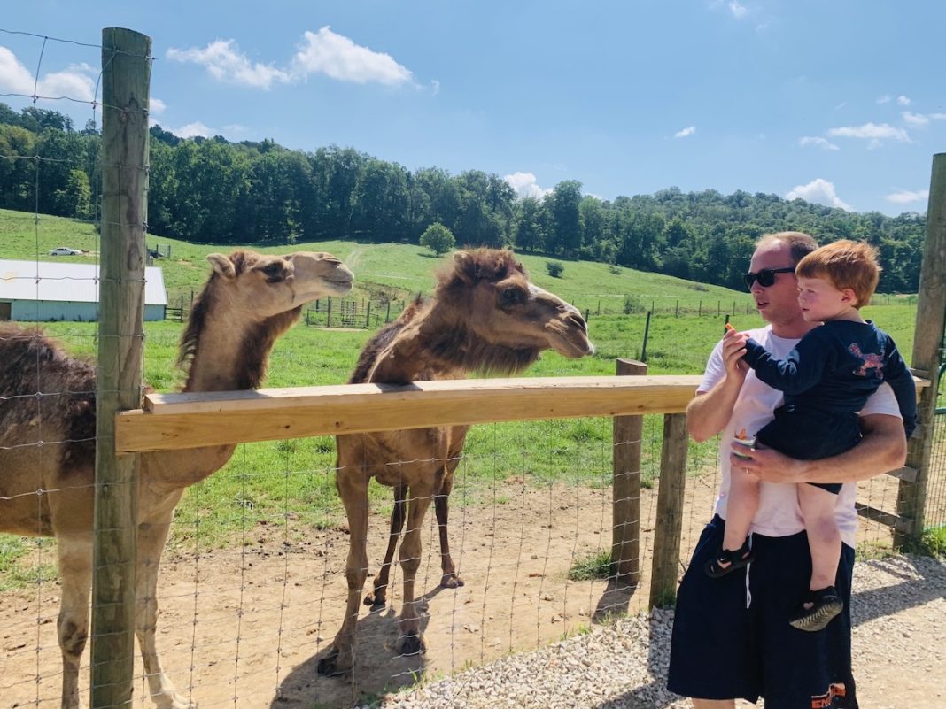 19 Unforgettable Day Trips To Take this Spring in Indiana