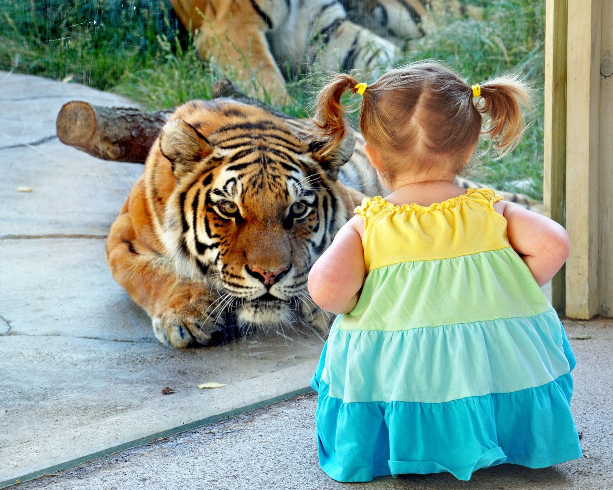 Wild Wonders Early Learning Program - Indy's Child Magazine