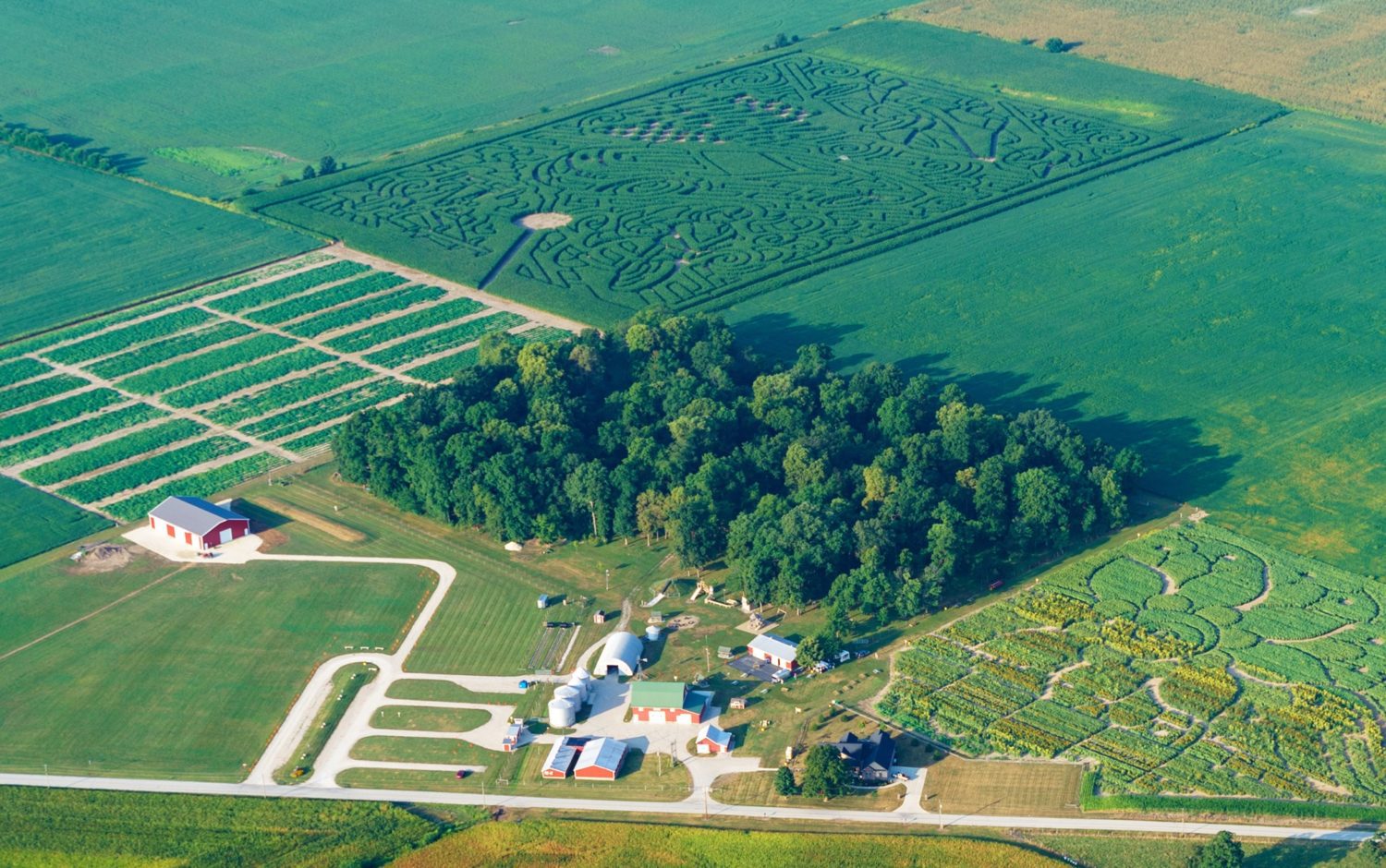 10 Corn Mazes near Indianapolis (2024)