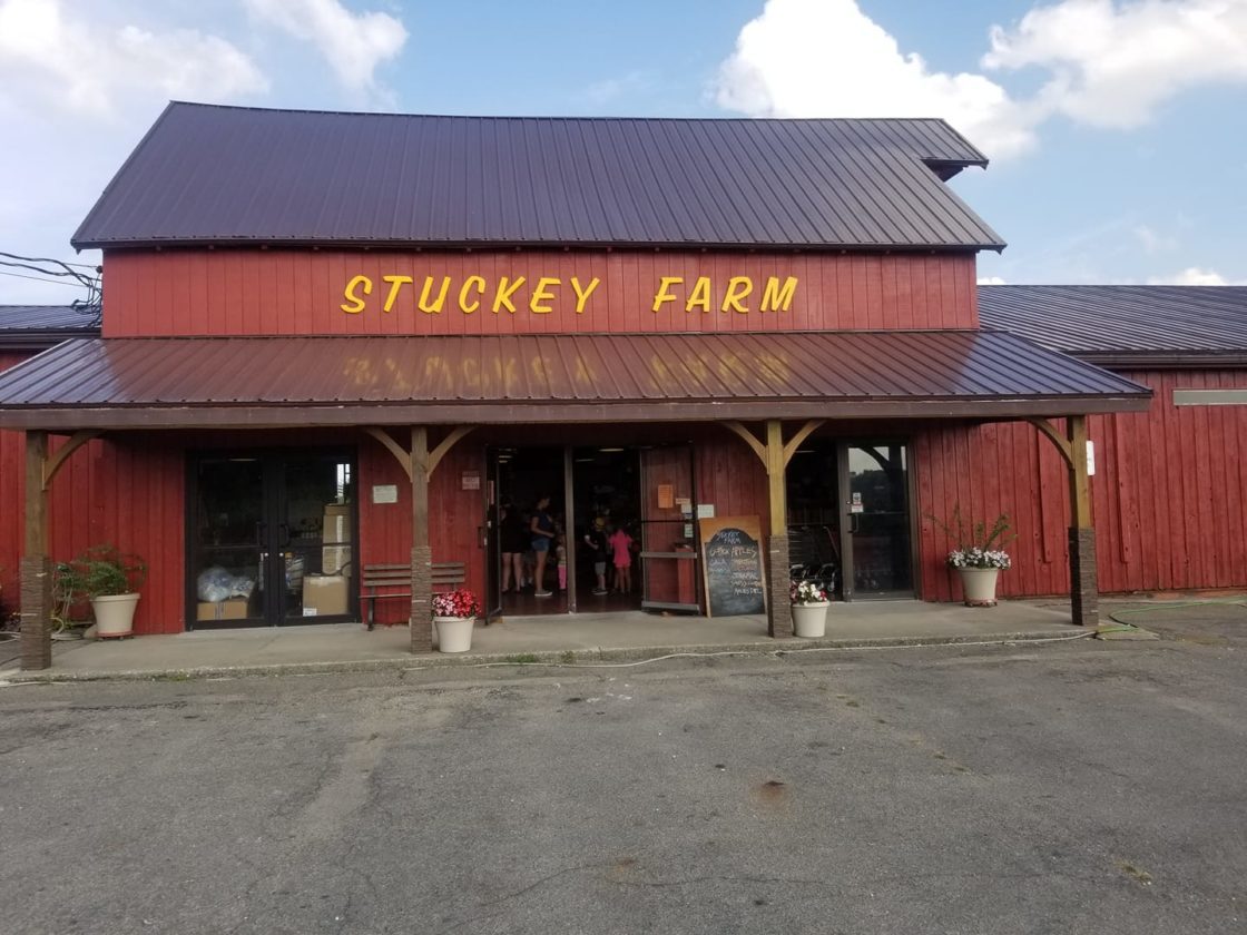 9 Farm Festivals in Indianapolis You Don't Want to Miss this Fall