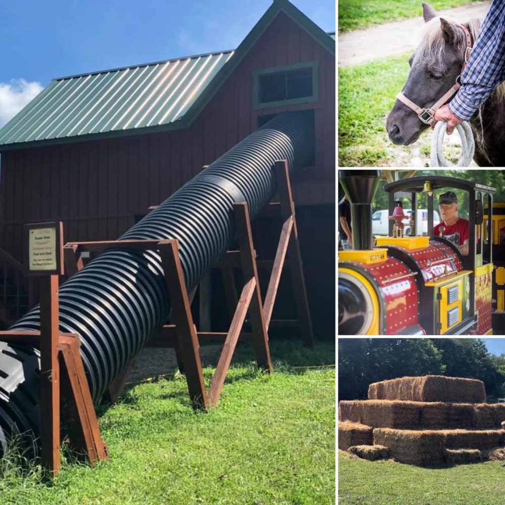 The Apple Works Orchard and Farm Market - Indy's Child Magazine