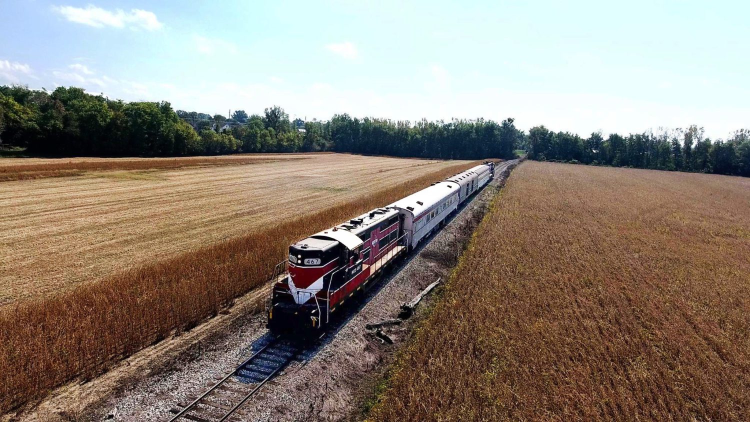 The Pumpkin Express - Travel by Train to the Pumpkin Patch