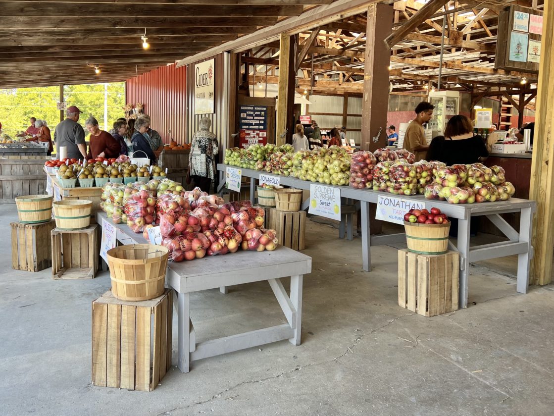 Anderson Orchard in Mooresville - Indy's Child Magazine