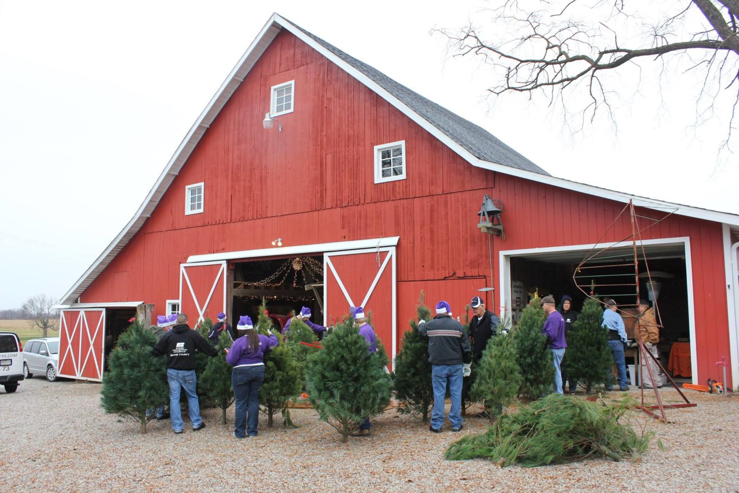 The Best Christmas Tree Farms Near Indianapolis - Indy's Child