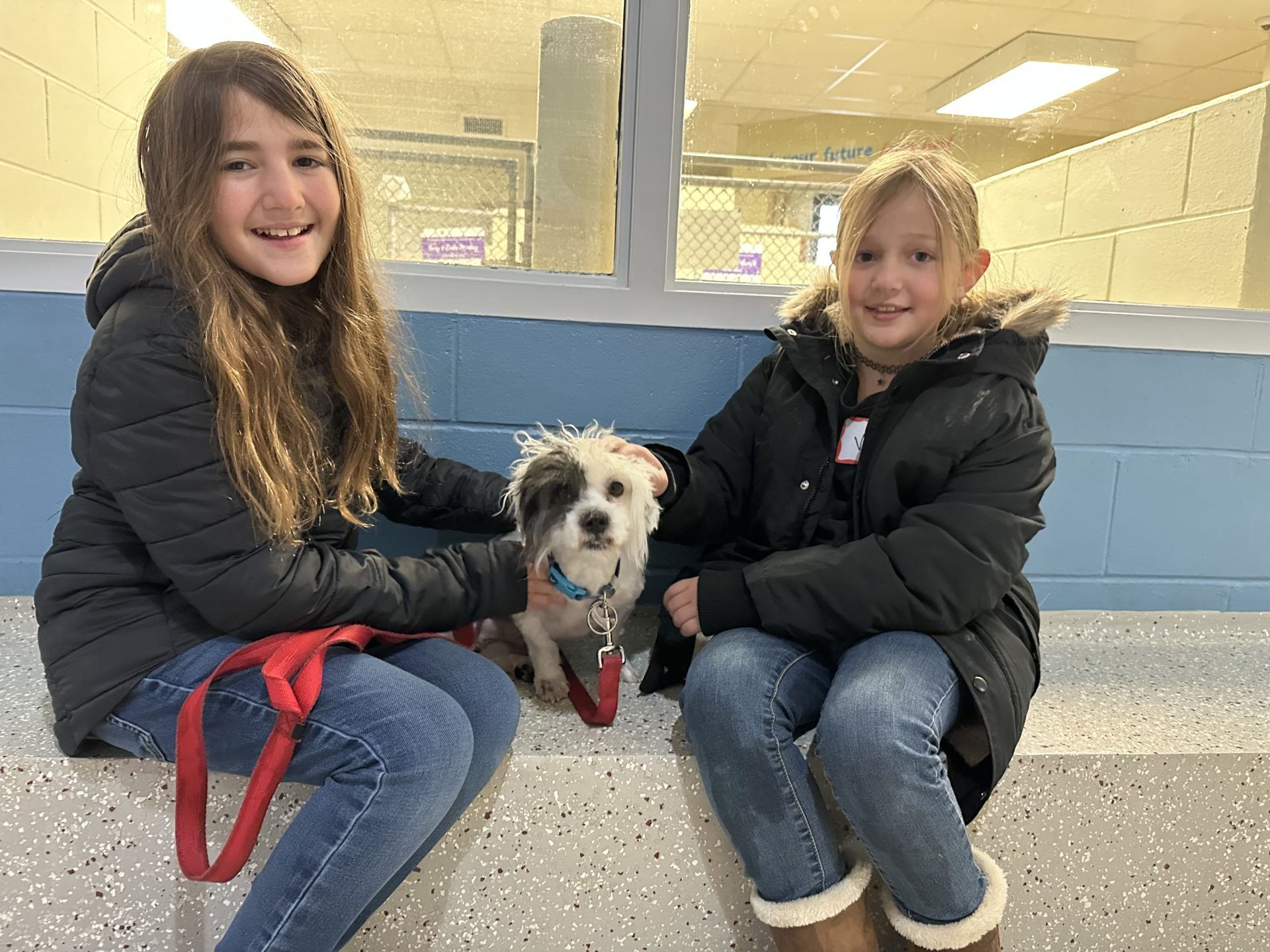 Parent & Me Volunteer at the Humane Society of Indianapolis