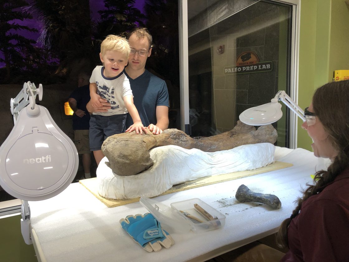 Dinosaur Train: The Traveling Exhibit at The Children's Museum