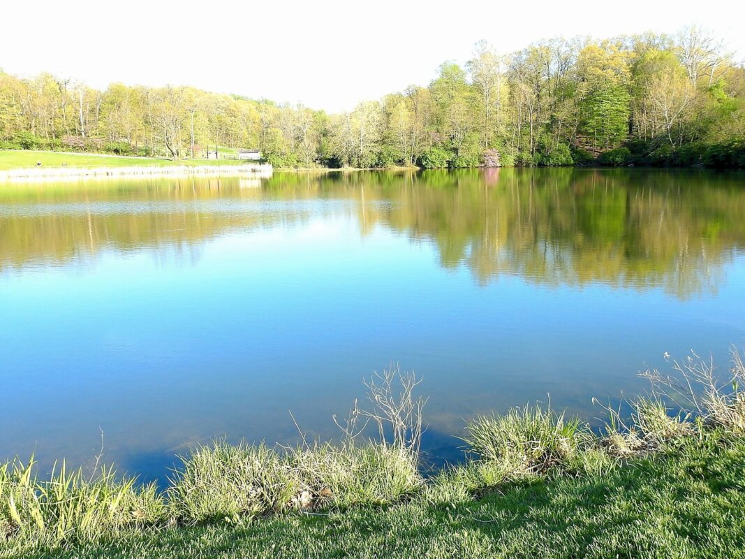 7 Best Indiana State Parks to Visit with your Kids - Indy's Child