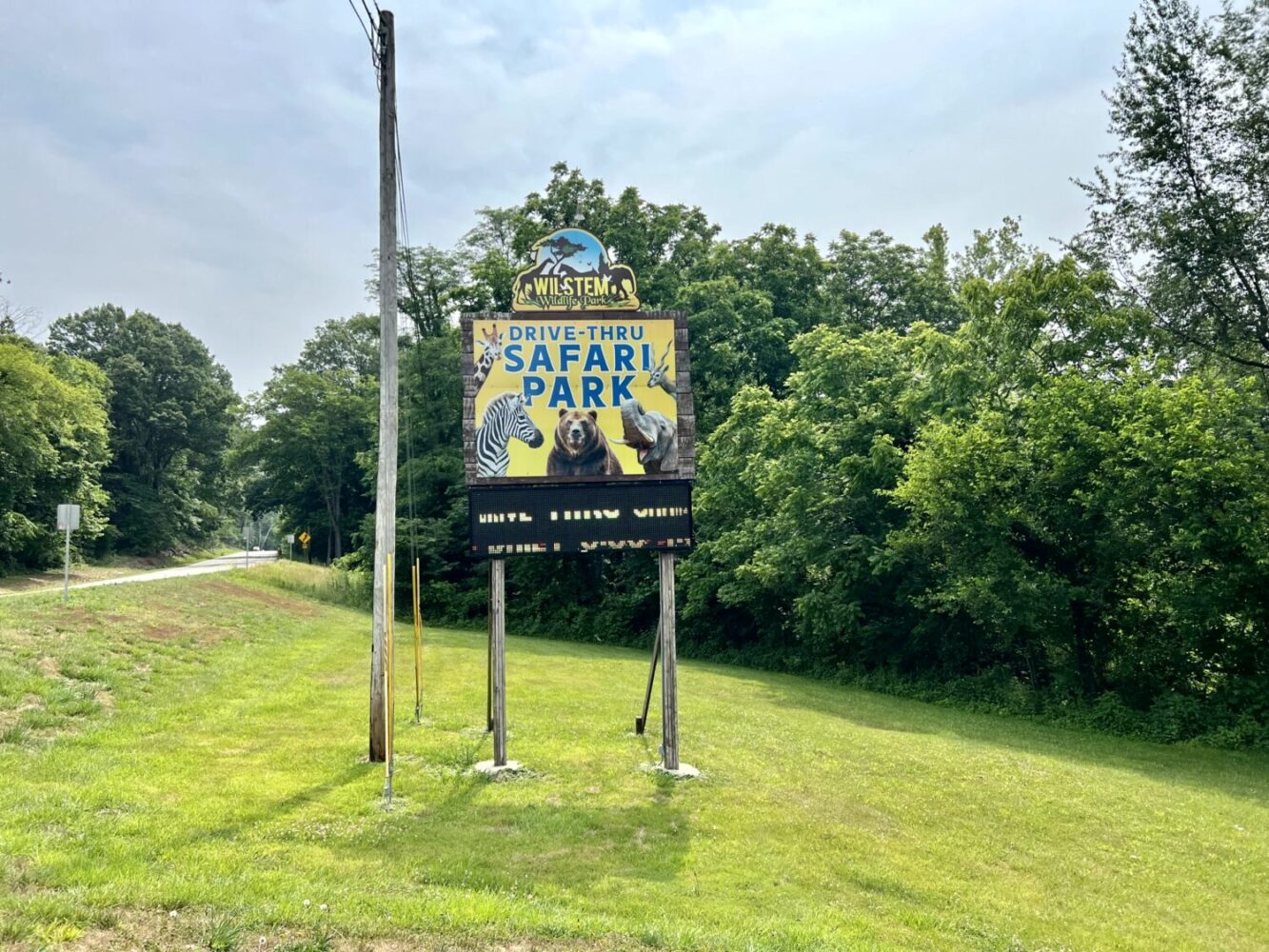 Drive-Thru Safari at Wilstem Wildlife Park - Indy's Child Magazine