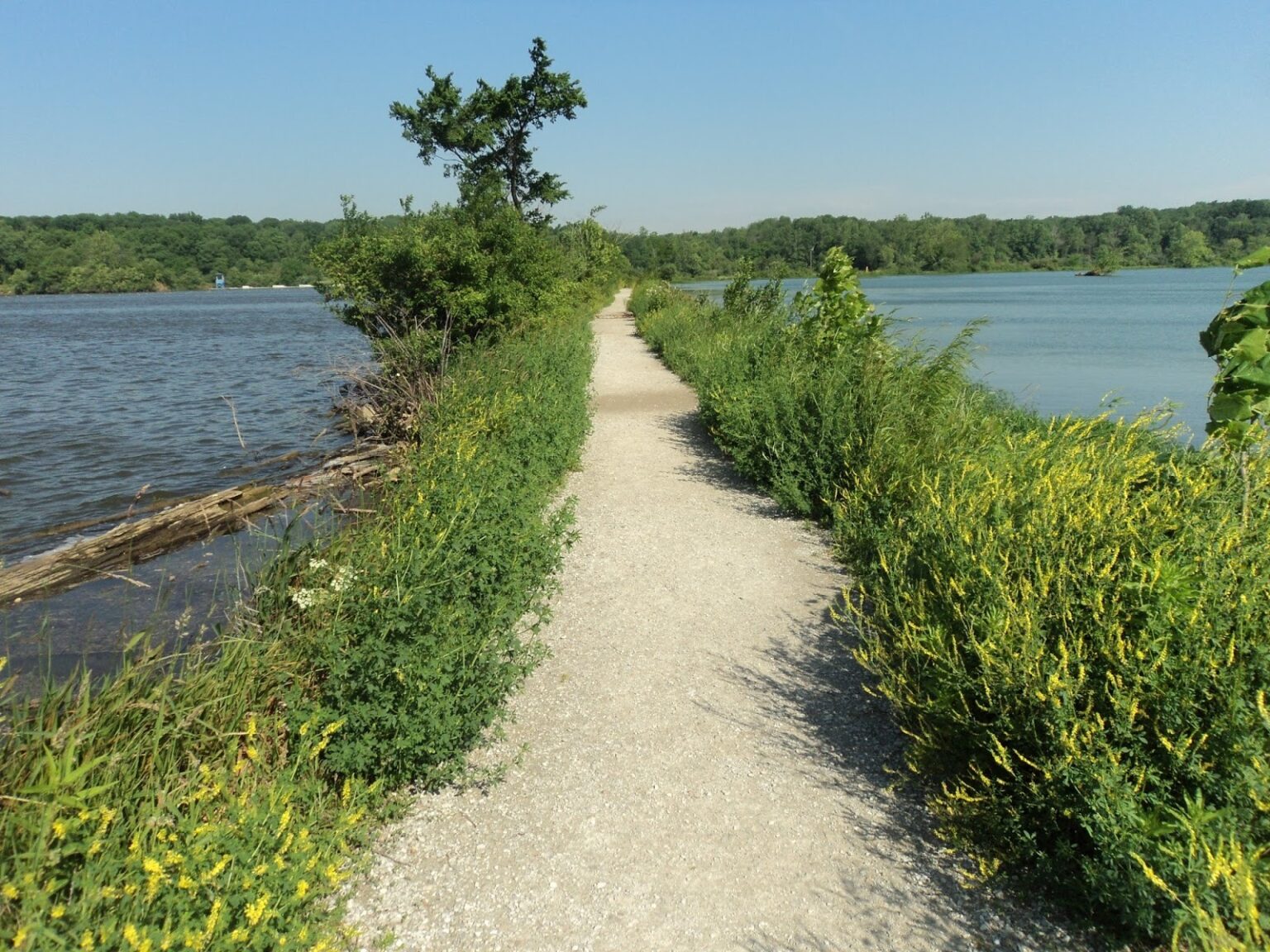 Where to Go Hiking with Kids in Indianapolis - Indy's Child