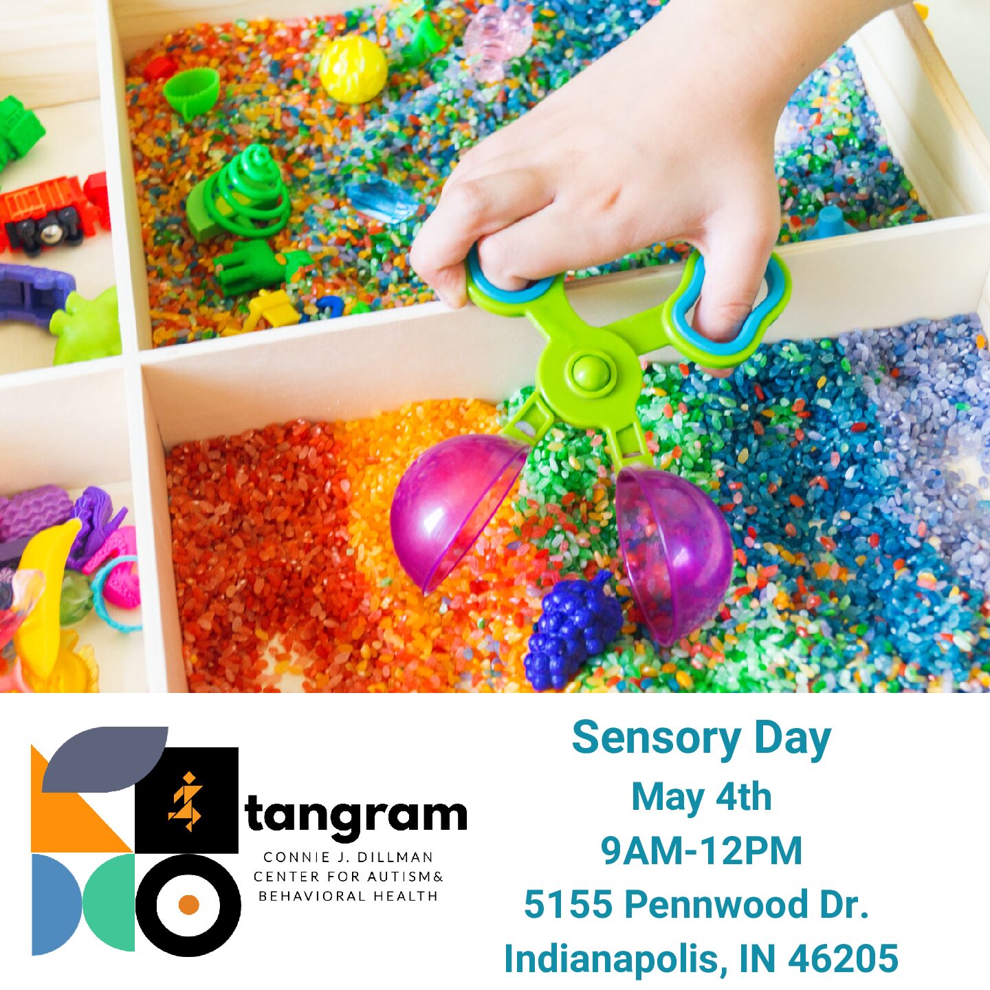 Sensory Day - Indy's Child Magazine