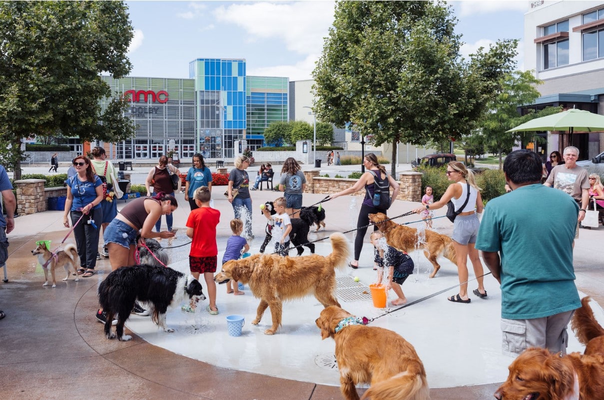 Splash Pad Party for Dogs - Indy's Child Magazine