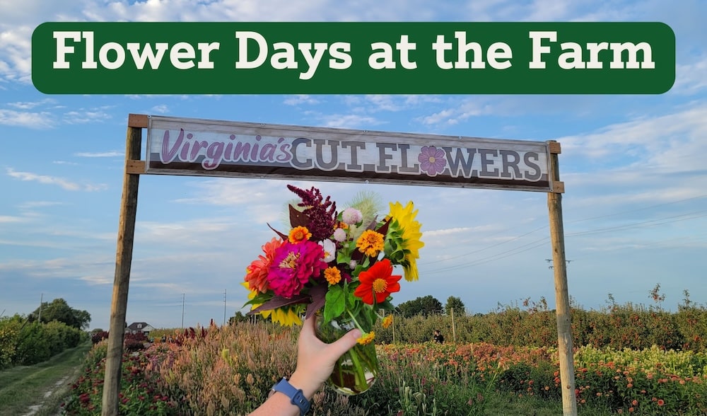 Flower Days @ the Farm - Indy's Child Magazine